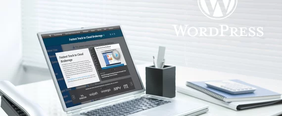 Modernisierung & Website Projekte - ScienceSoft